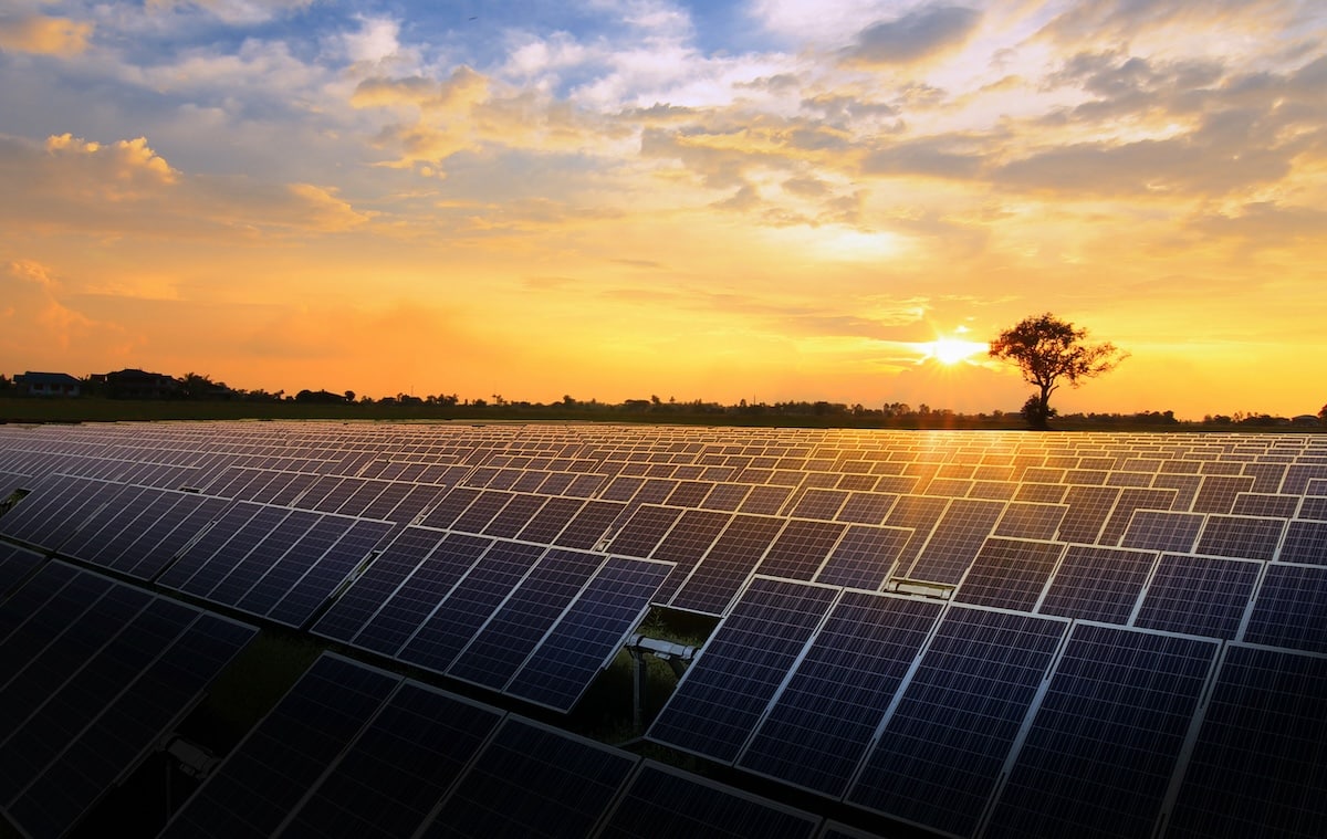 Upper hunter solar farm sees NSW Gov't approval - PACE Today
